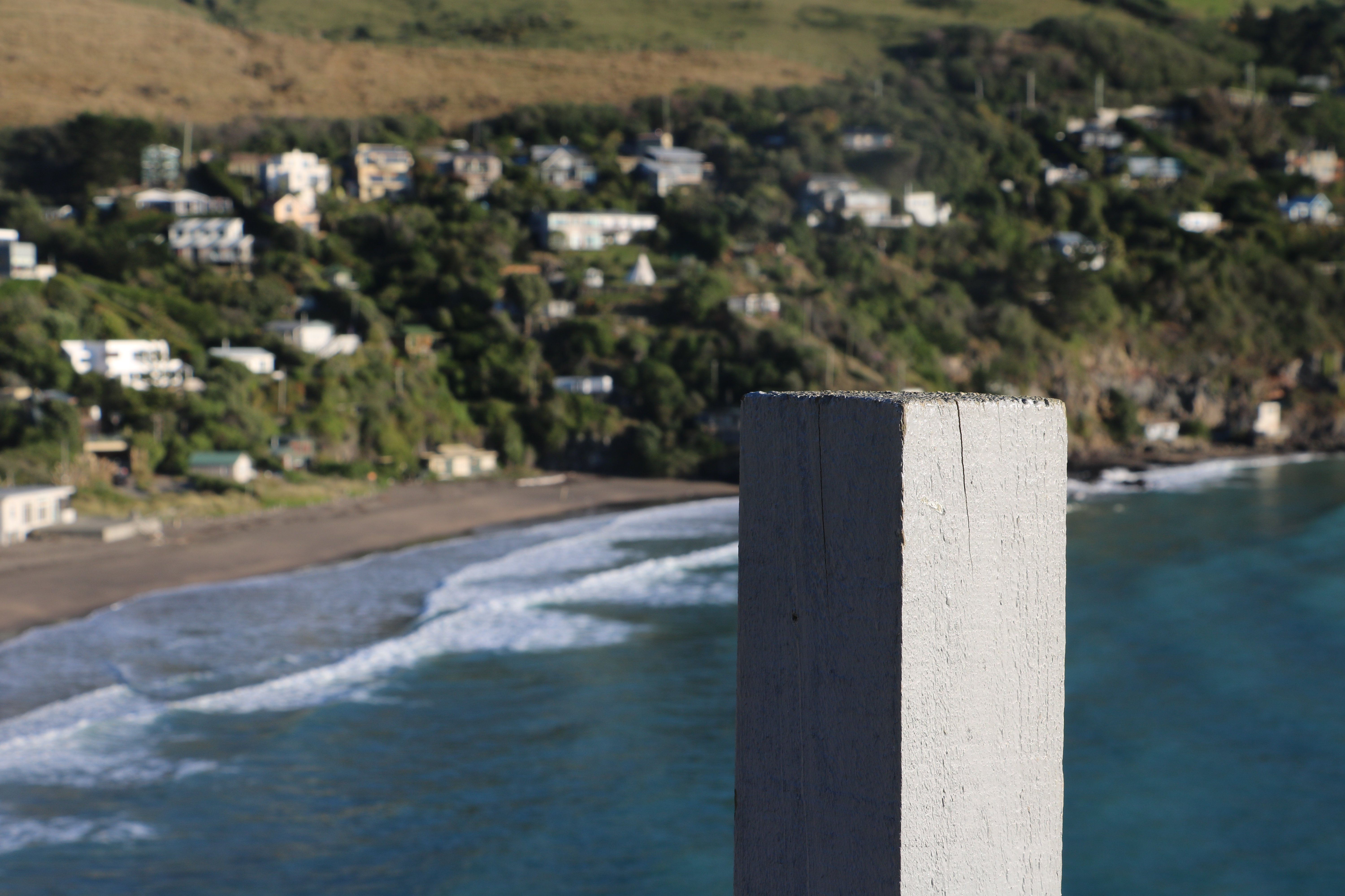 Bounce goes for a walk!